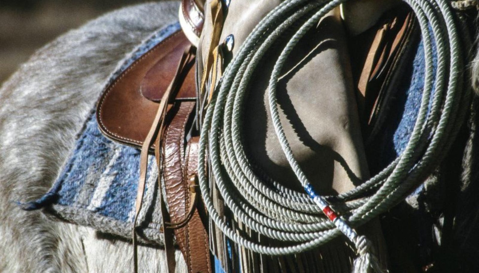 Rancho Rio - Team Roping Capital Of The World - Wickenburg Social